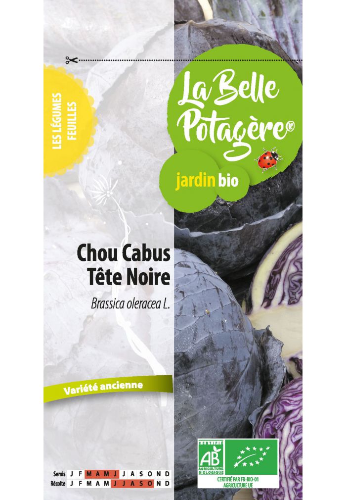Chou rouge Tête noire 0.2 g | Leroy Merlin