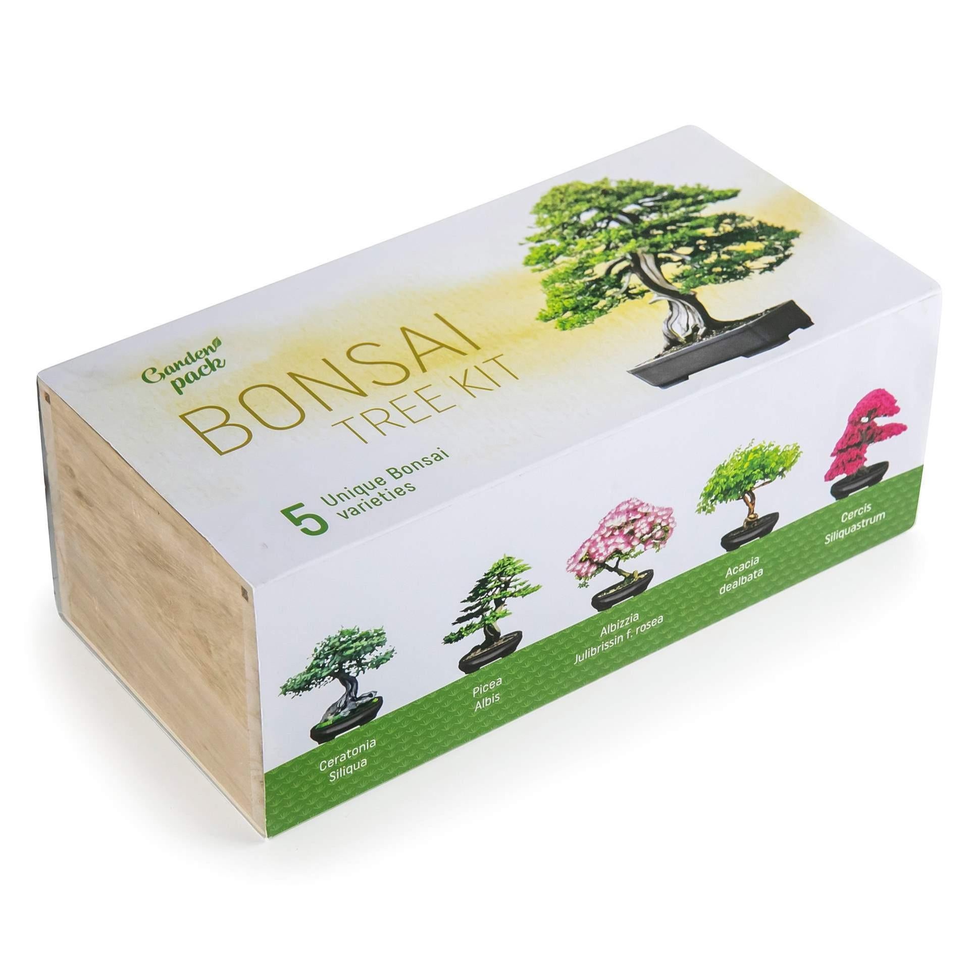 Kit semi per BONSAI con accessori per la coltivazione | Leroy Merlin