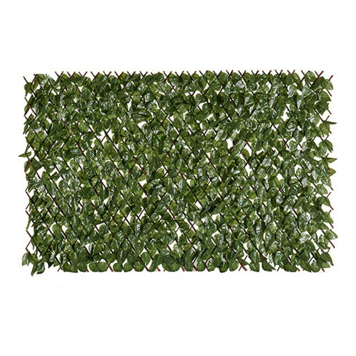 Separatore Verde Plastica Verde (200 x 4 x 100 cm) | Leroy Merlin