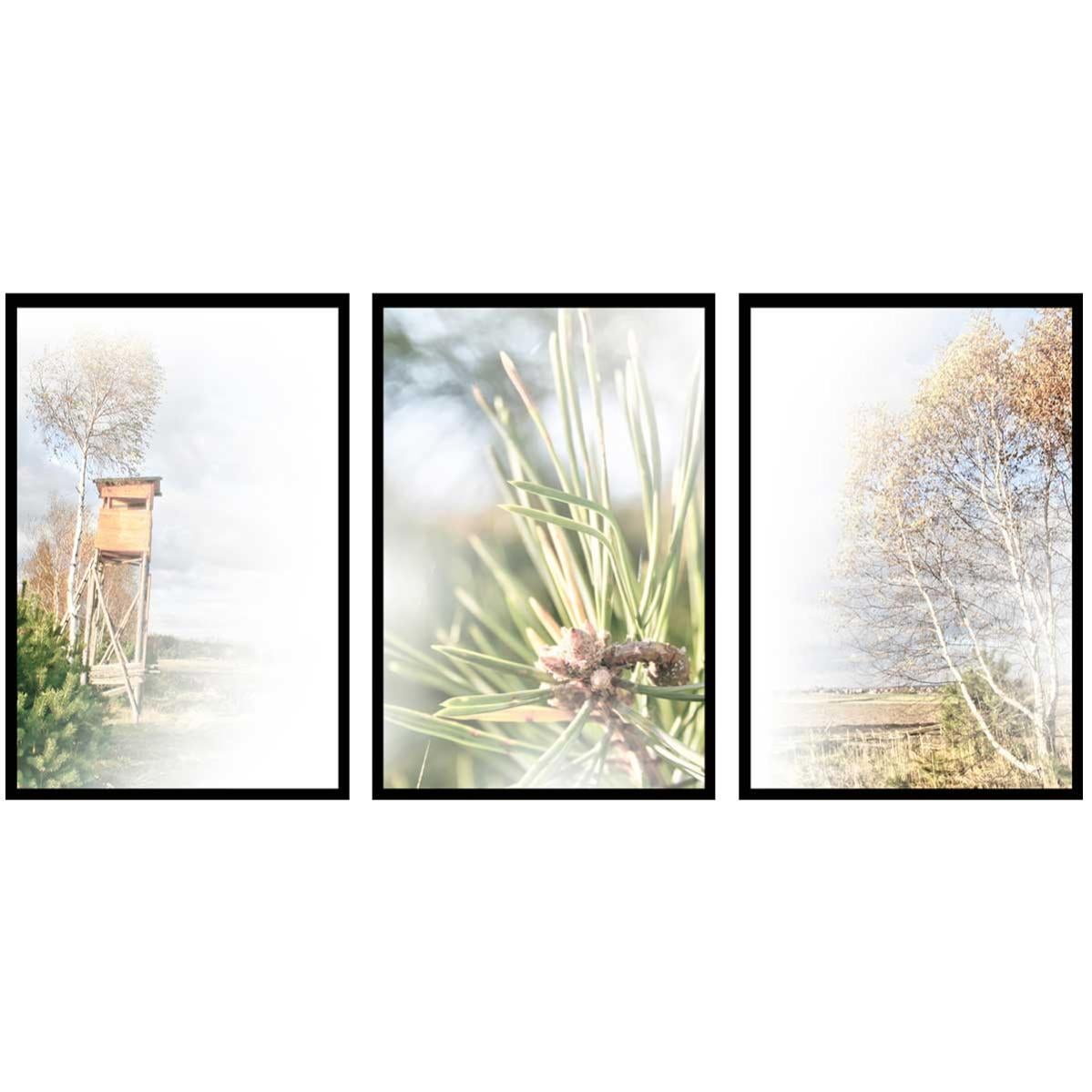 Campagna Trio, set di 3 poster a parete - 90x45cm | Leroy Merlin