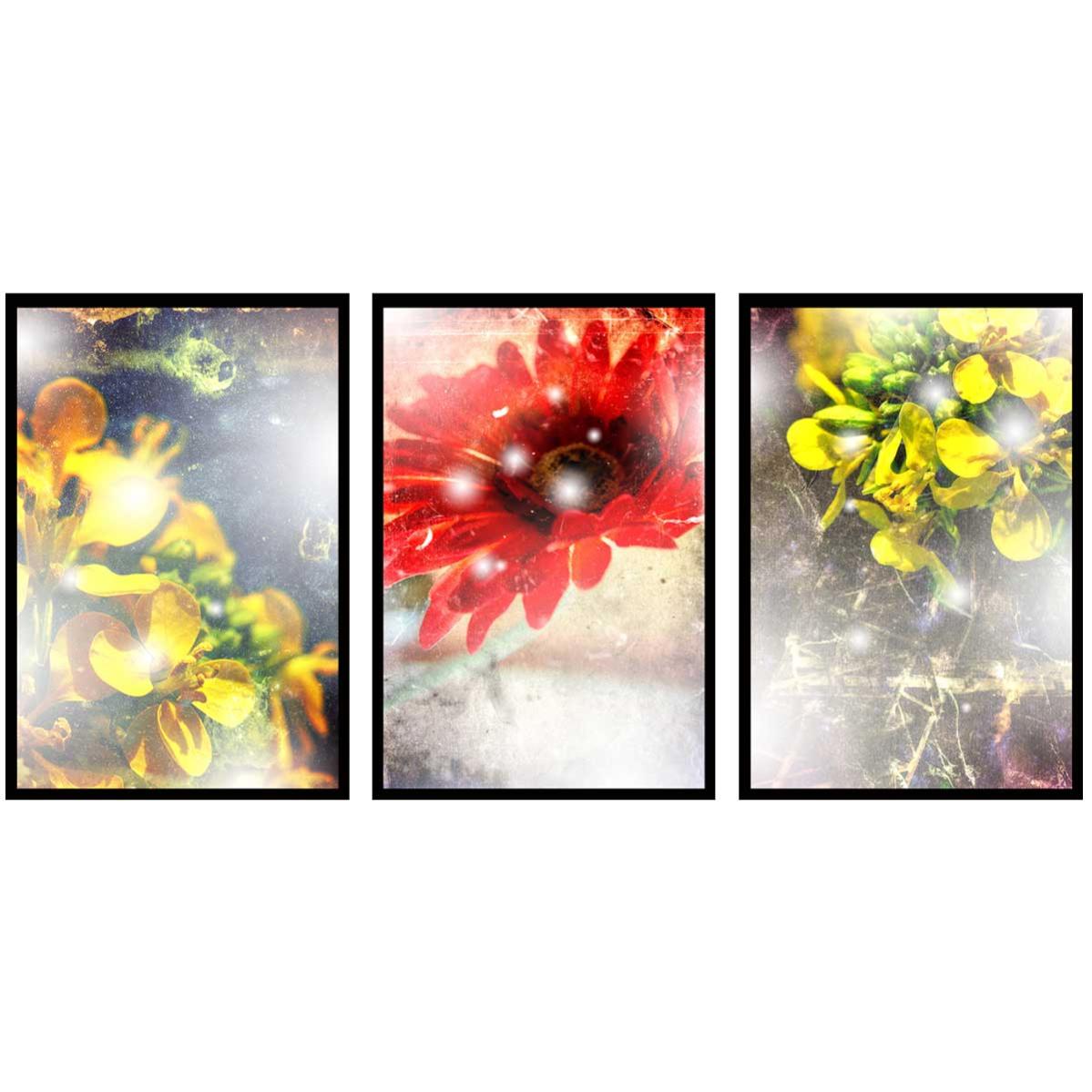 Fleurs Trio, Set di 3 affiches murales - 90x45cm | Leroy Merlin