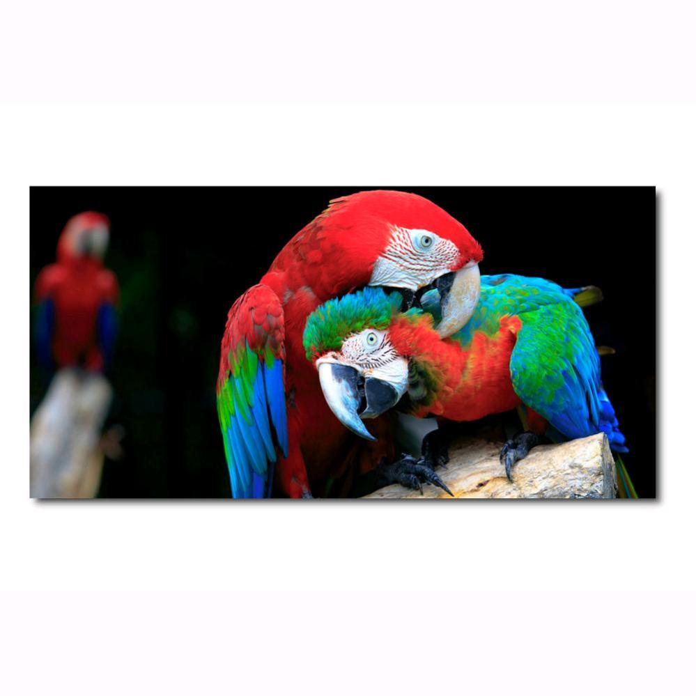 Canvas Stampato Alta risoluzione 40x80 cm PAPPAGALLO Telaio in Legno ...