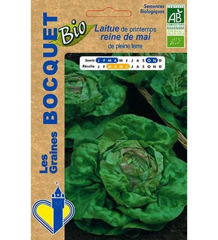Laitue De Printemps Reine De Mai Bio- Certifiée Ecocert Fr-bio-01 - Les ...