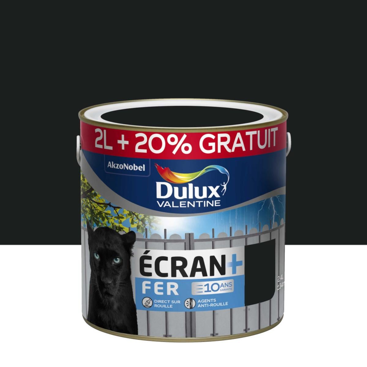 Peinture Écran + Fer Noir | Bricoman