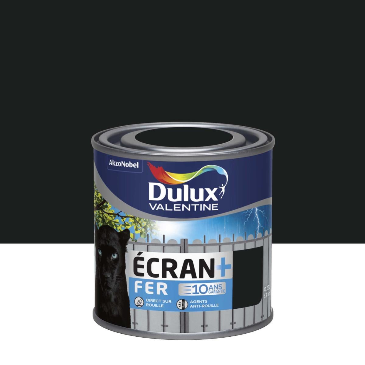 Peinture Écran + Fer Noir | Leroy Merlin