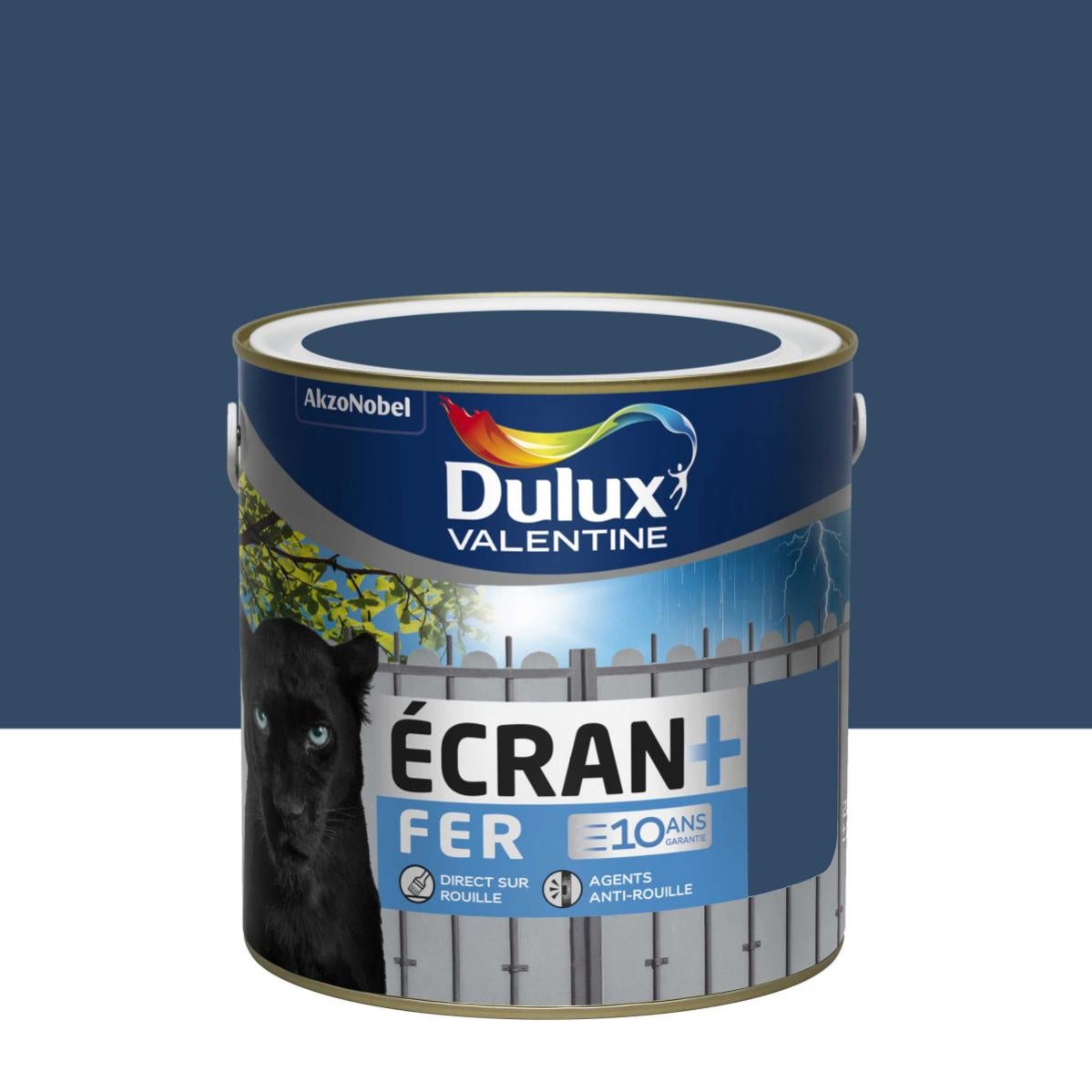 Peinture Écran + Fer Marine | Bricoman