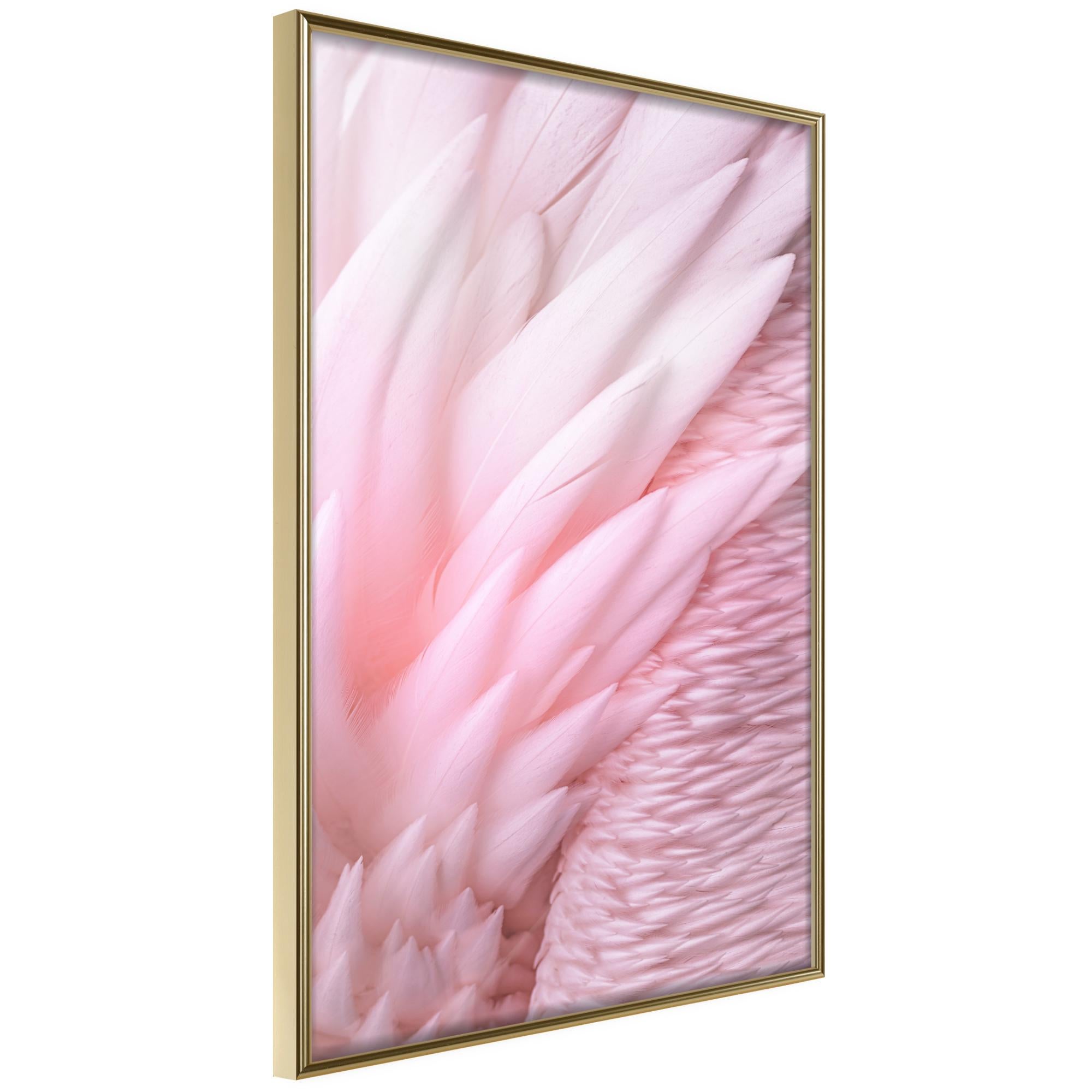 Poster et affiche - Pink Feathers - 30x45 | Leroy Merlin
