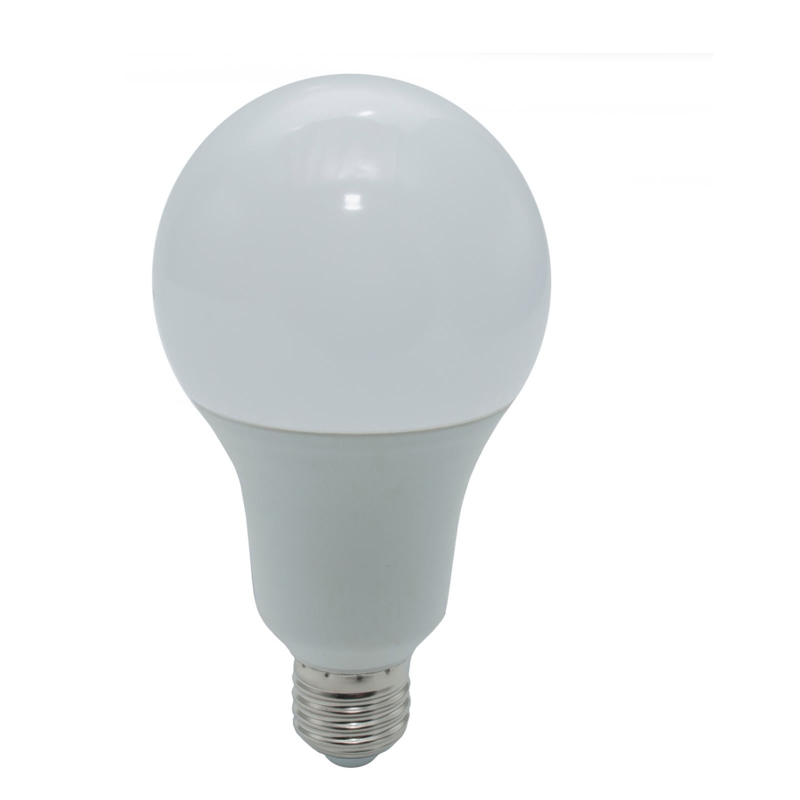 Lampada LED E27 16W resa 165W lampadina A80 1650 lumen luce 230V LUCE CALDA 3000K | Leroy Merlin