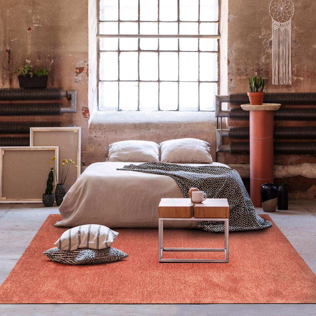 SOLANCE - Tapis lumineux terra cotta 120x170 | Leroy Merlin