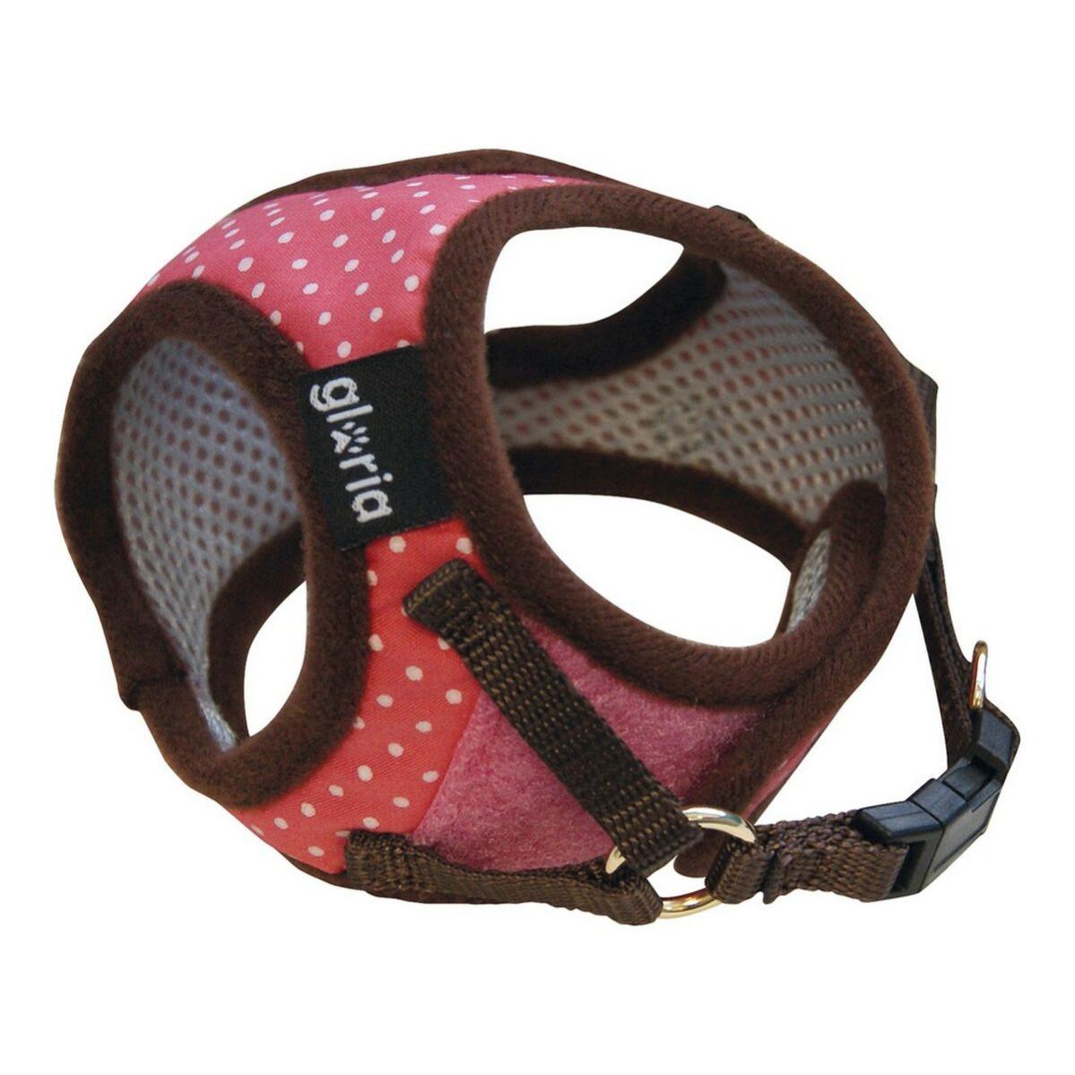 Arnés para Perro Gloria Puntos 33-44 cm Rosa Talla L | Leroy Merlin