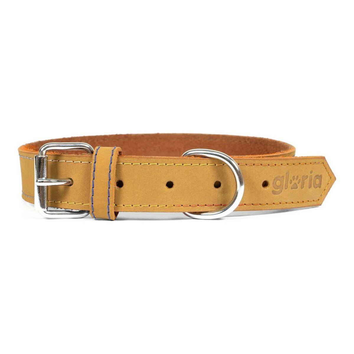 collier-pour-chien-gloria-oasis-jaune-45-x-1-8-cm-leroy-merlin