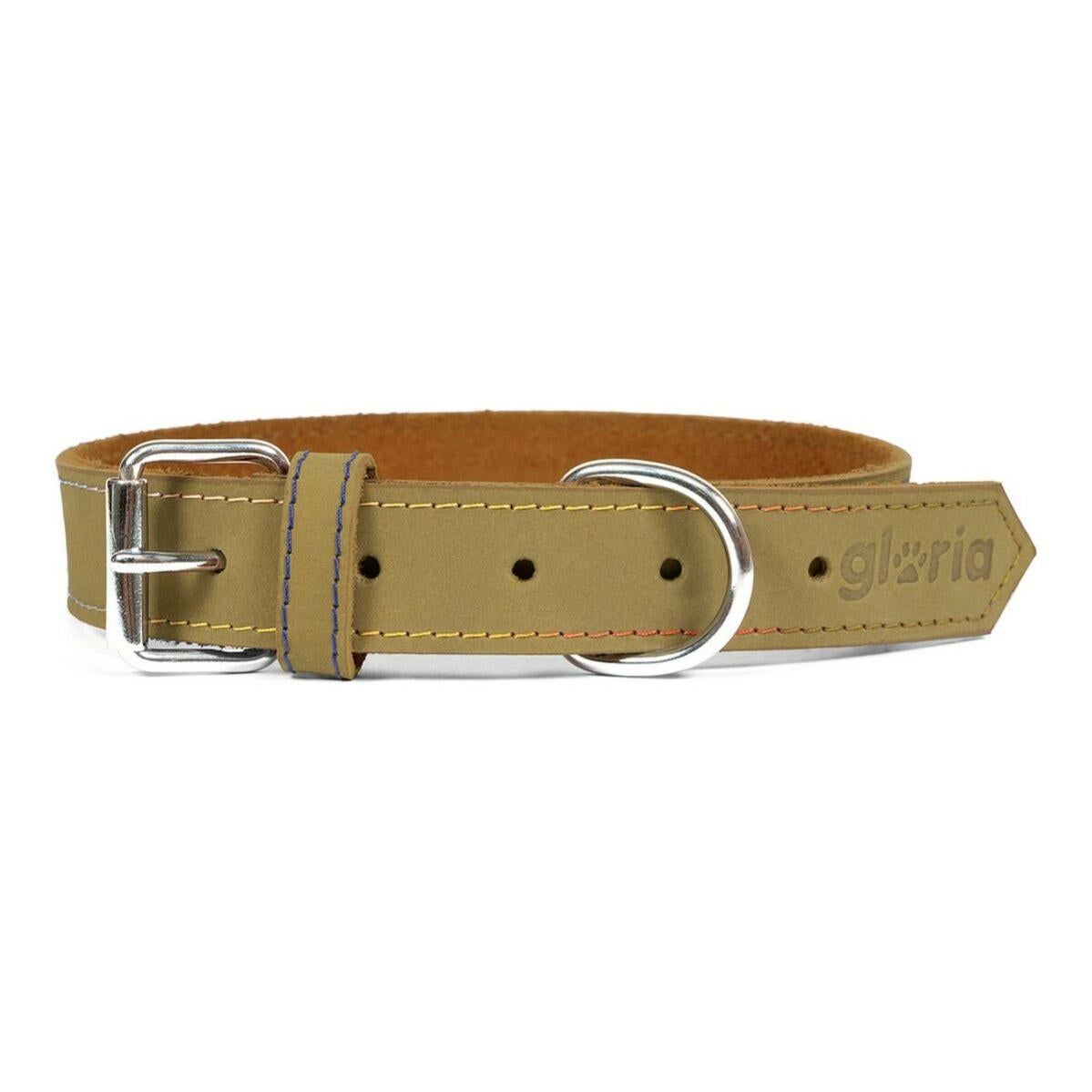 Collier pour Chien Gloria Oasis Vert (70 x 3 cm) | Leroy Merlin