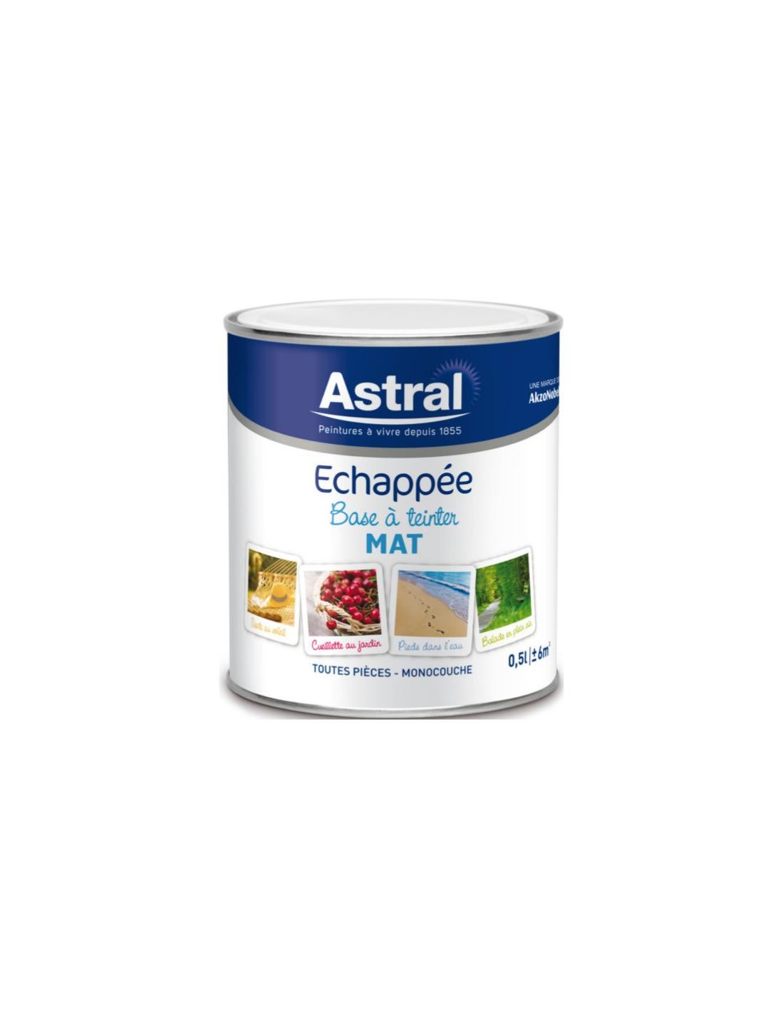 Peinture Echapée Mat Murs Bois Base C 0,5l - ASTRAL | Leroy Merlin
