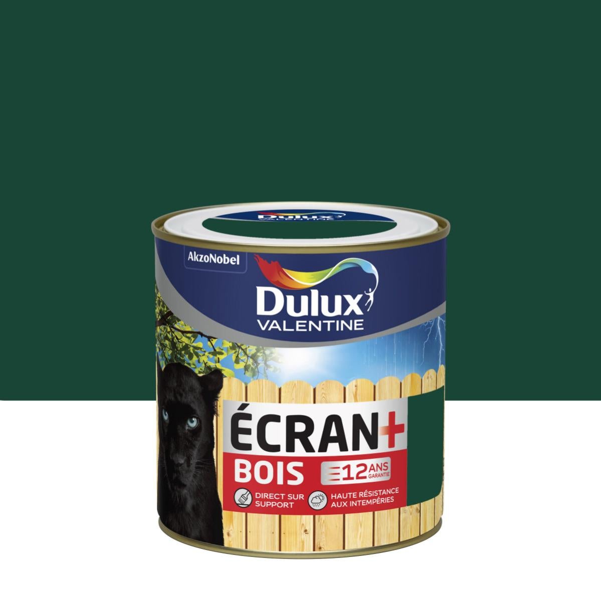 Peinture Écran + Bois Vert Basque | Leroy Merlin