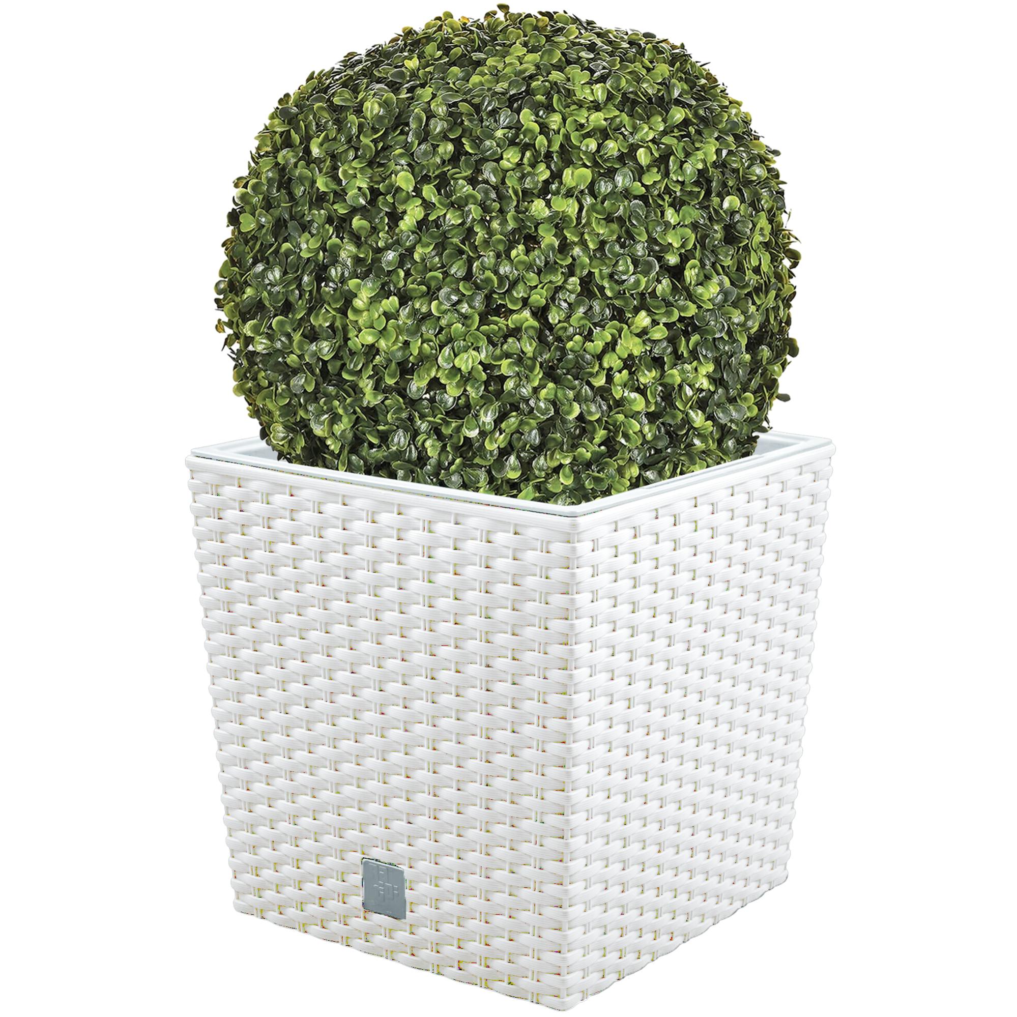 Ensemble de Bac à Fleurs Rato 32 litres avec jardinière blanche 33 x 33 ...