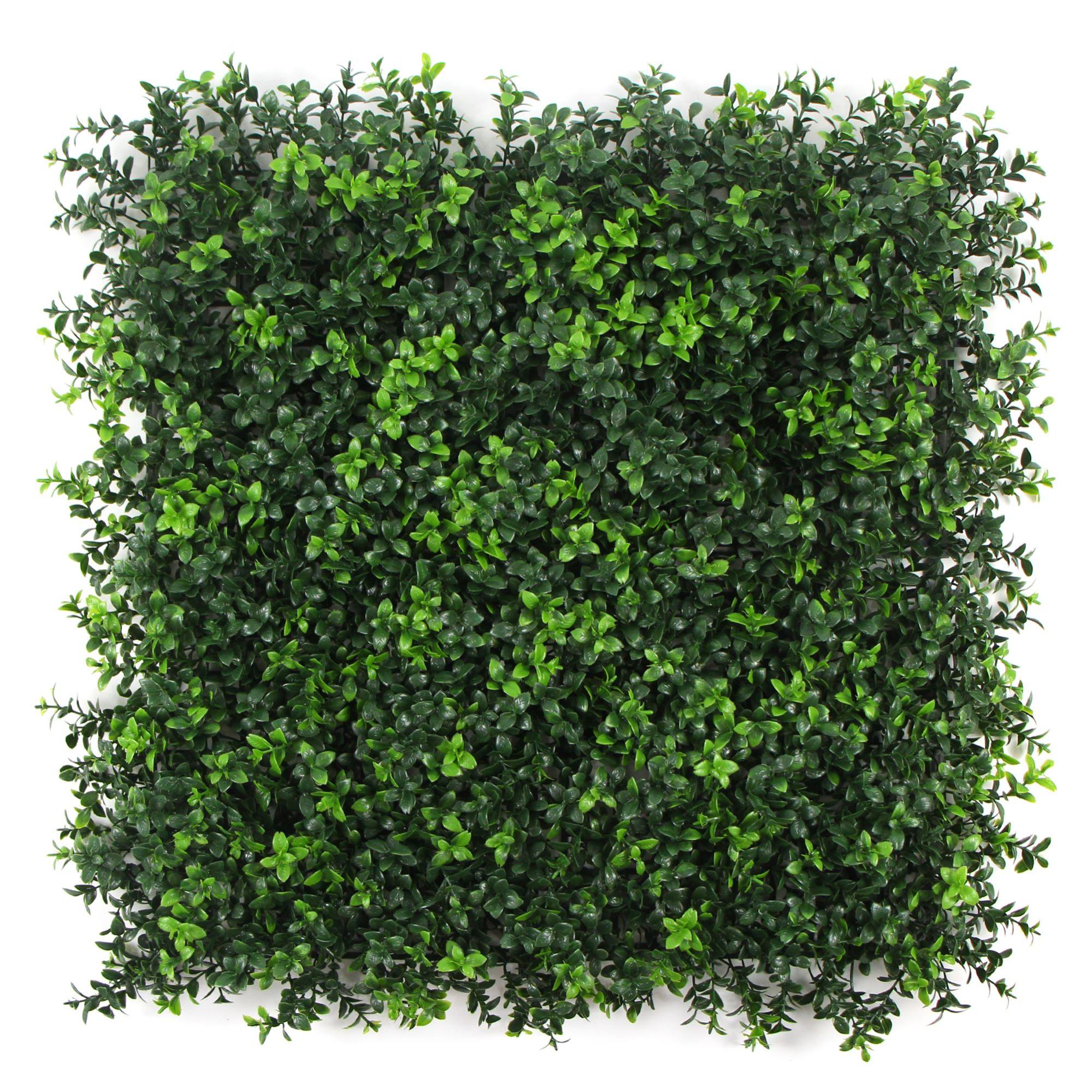 Summer Buxus | FOLY - 50 x 50 cm - Seto artificial | Boj - Jardín ...