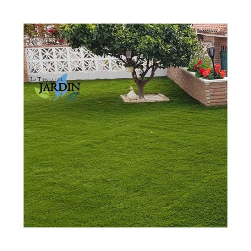 Gazon artificiel Bahamas 40mm de haute qualité 2 x 20 m | Leroy Merlin