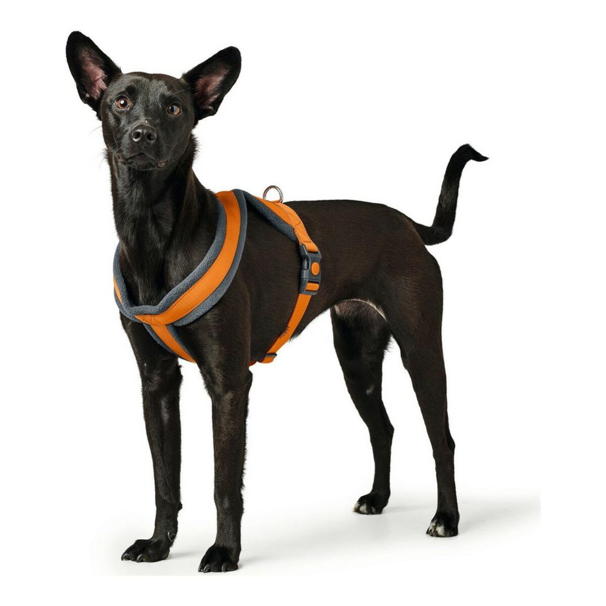 Harnais pour Chien Hunter London Comfort XS-S 39-47 cm Orange | Leroy ...