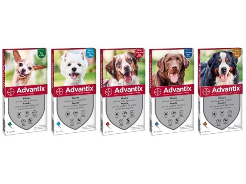 ANTIPARASSITARIO ADVANTIX CANI BAYER | Leroy Merlin