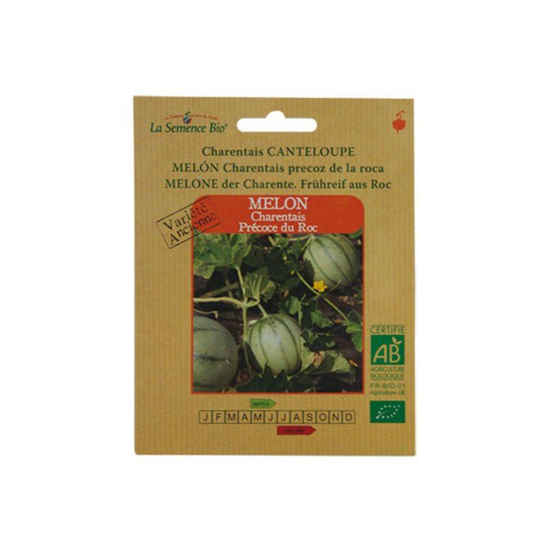 Graine Melon Charentais précoce du Roc - La Semence Bio | Leroy Merlin