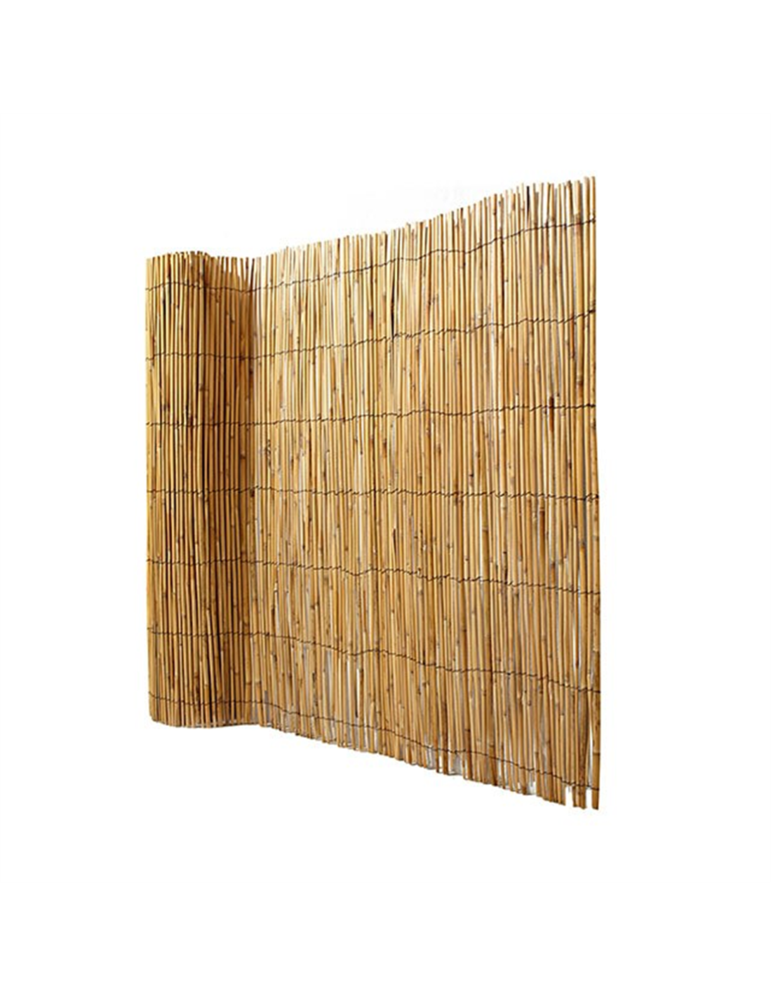 Bambú Chino Pelado Fino | SELECCIONE LA MEDIDA | VARIAS MEDIDAS | 1x5m ...