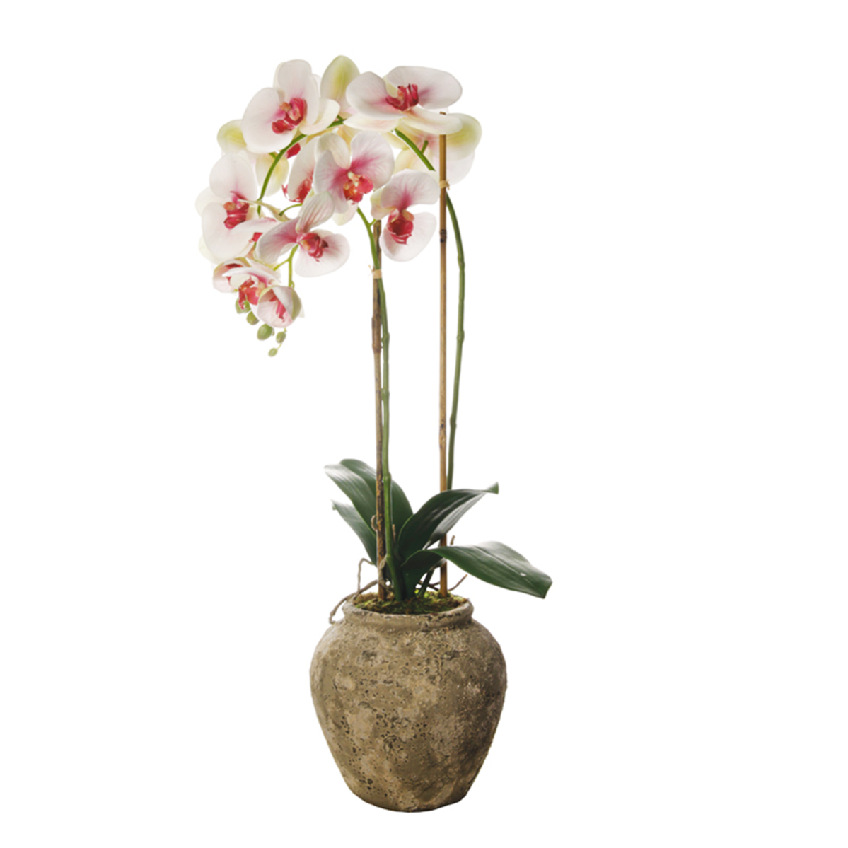 Orchidée Artificielle en Pot en argile H71 | Leroy Merlin