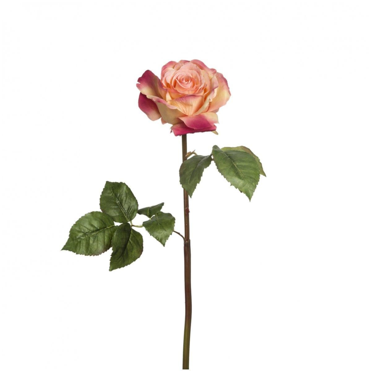 Rose SARAH | Leroy Merlin