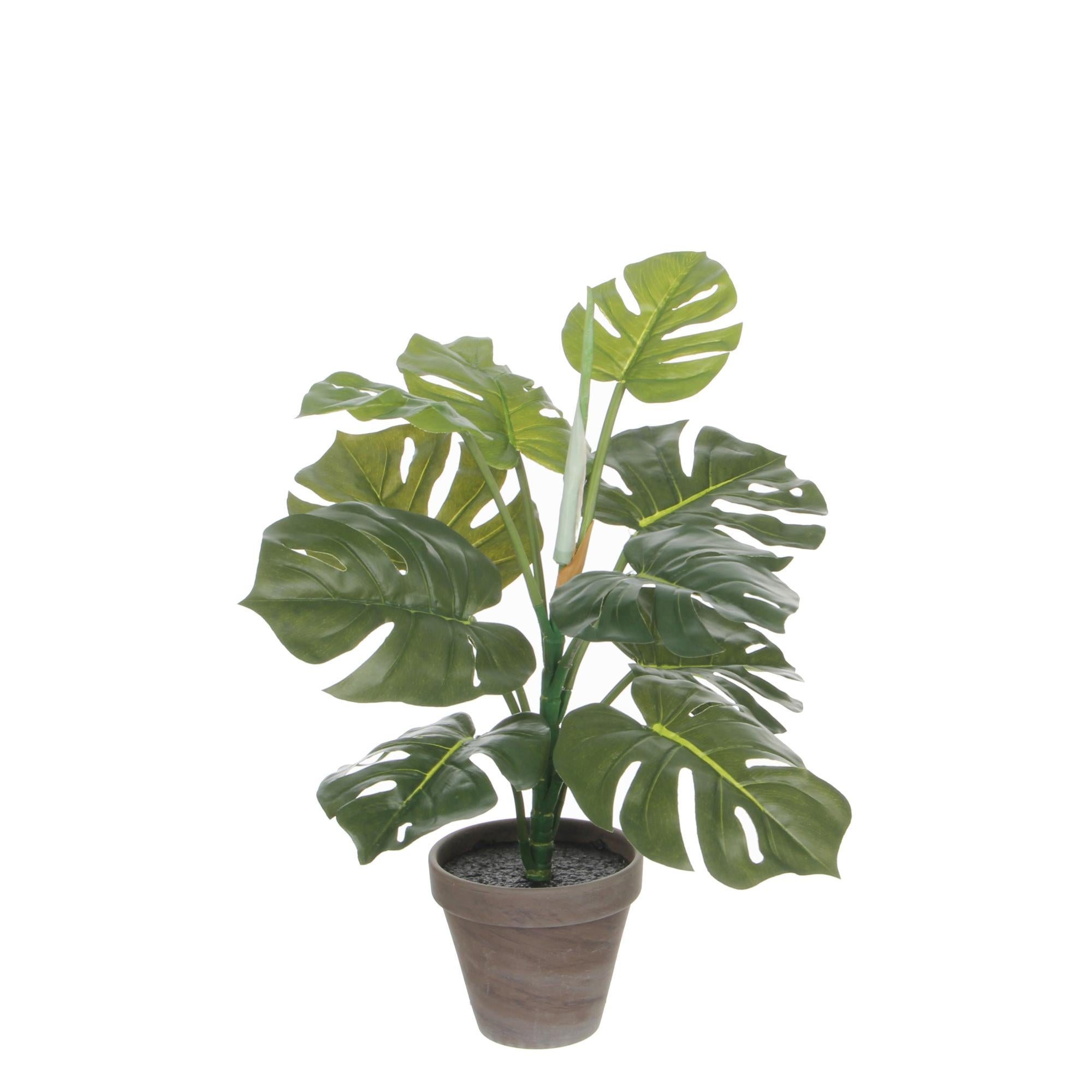 Monstera artificial en maceta Ø39 x 48 cm | Leroy Merlin