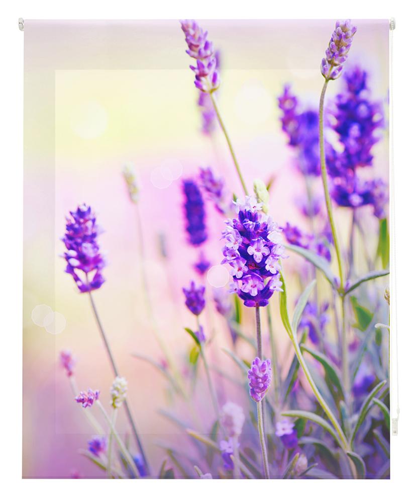 Estor Enrollable Happystor Estampado Digital Paisajes HSP93002 140x180cm | Leroy Merlin