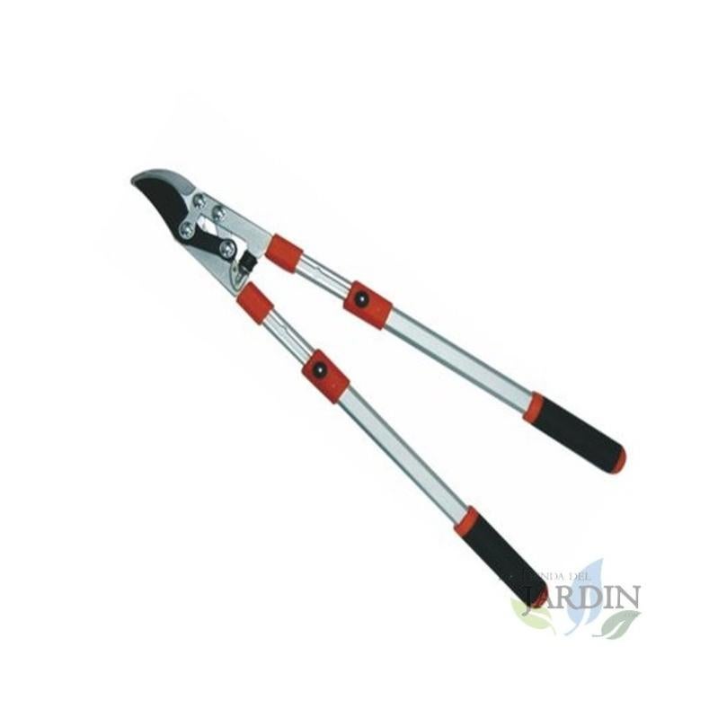 Forbice da potatura allungabile in alluminio | Leroy Merlin