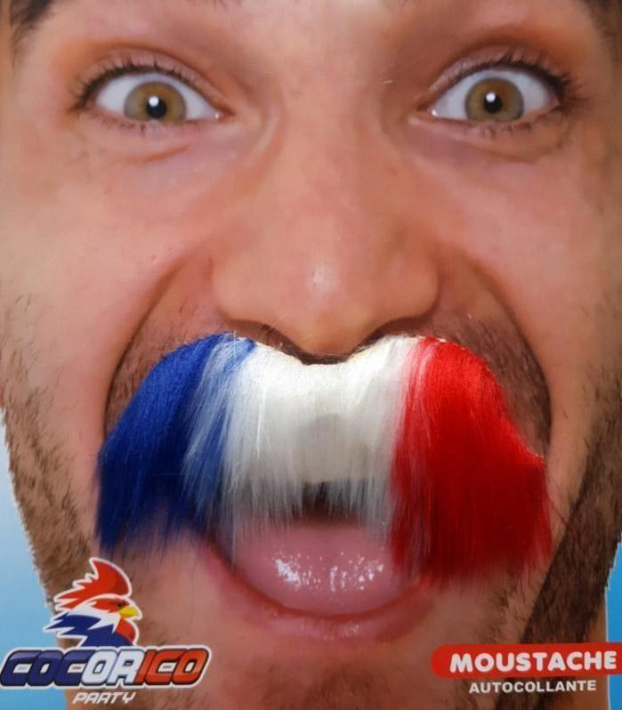 Moustache tricolore - | Leroy Merlin