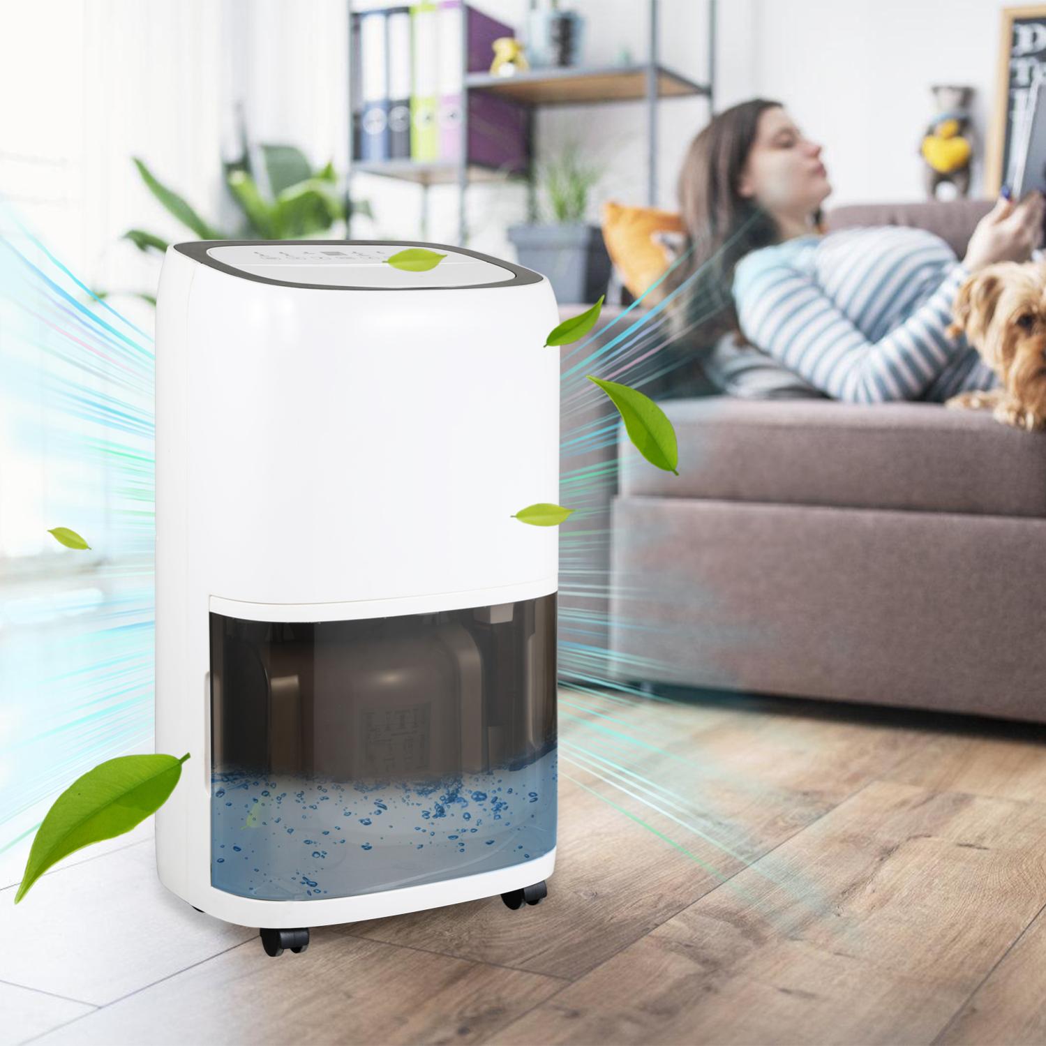 Déshumidificateur Automatique Portable Silencieux avec Contrôle De L ...