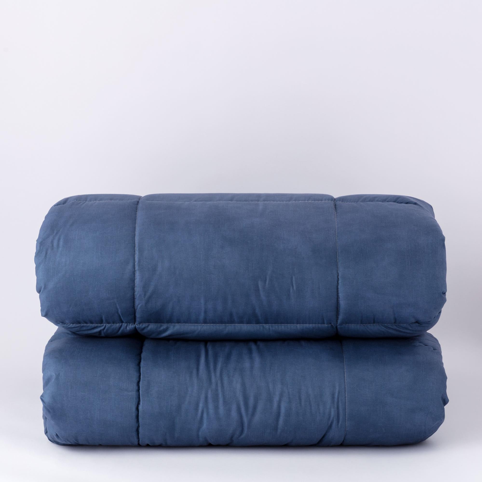 Trapunta in microfibra Friendly Blu 1 Piazza e Mezza | Leroy Merlin