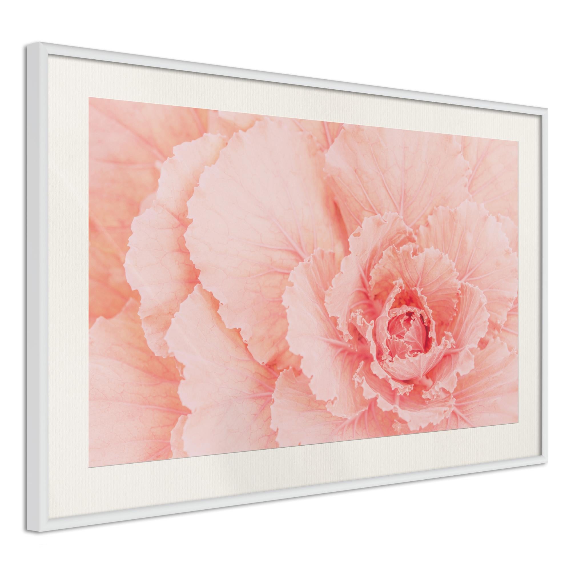 Poster et affiche - Delicate Petals - 90x60 | Leroy Merlin