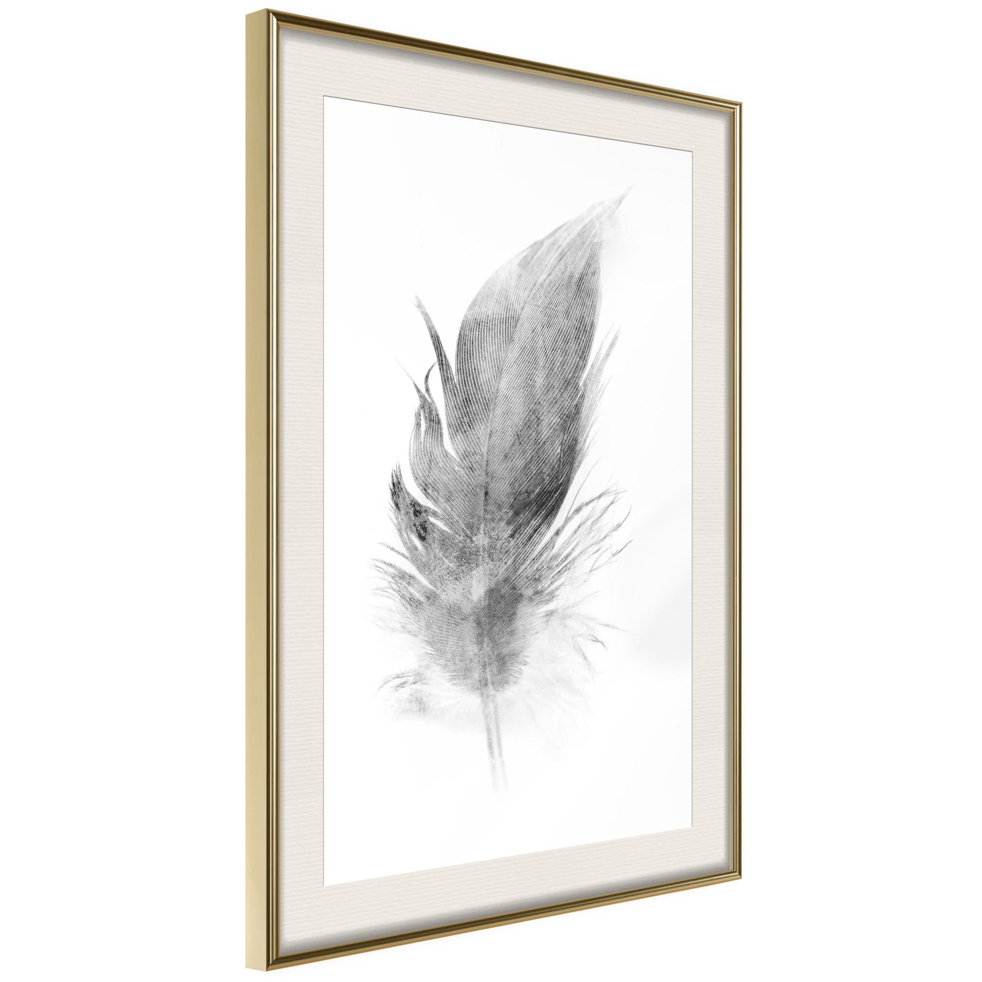 Poster et affiche - Lost Feather (Grey) - 20x30 | Leroy Merlin