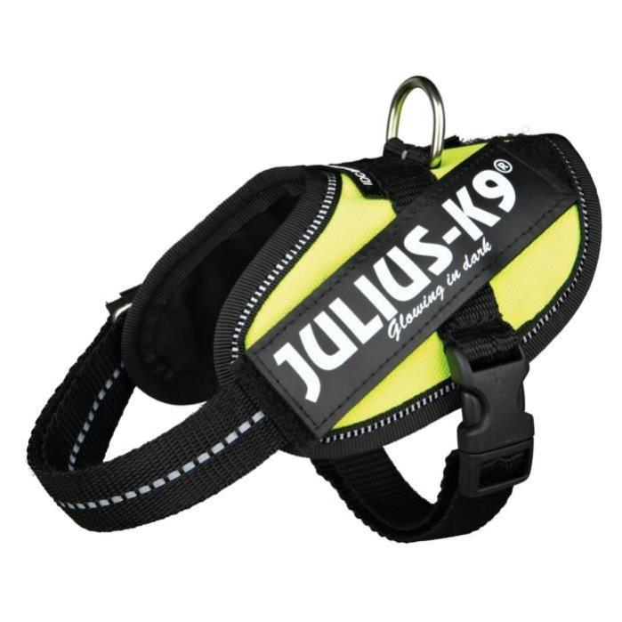 JULIUS-K9 Harnais Power IDC Baby 2/XS S: 33 45cm jaune fluo pour chien ...