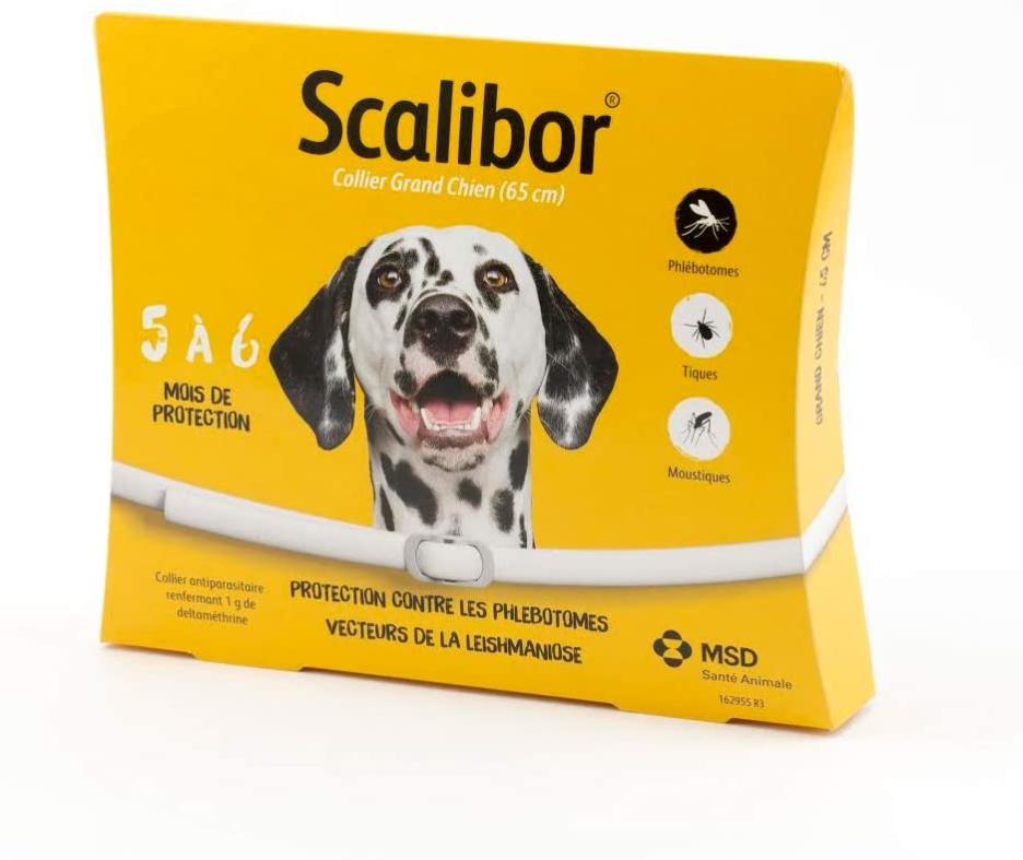 Scalibor - Collier Antiparasitaire pour Grand Chien - 65 cm | Leroy Merlin