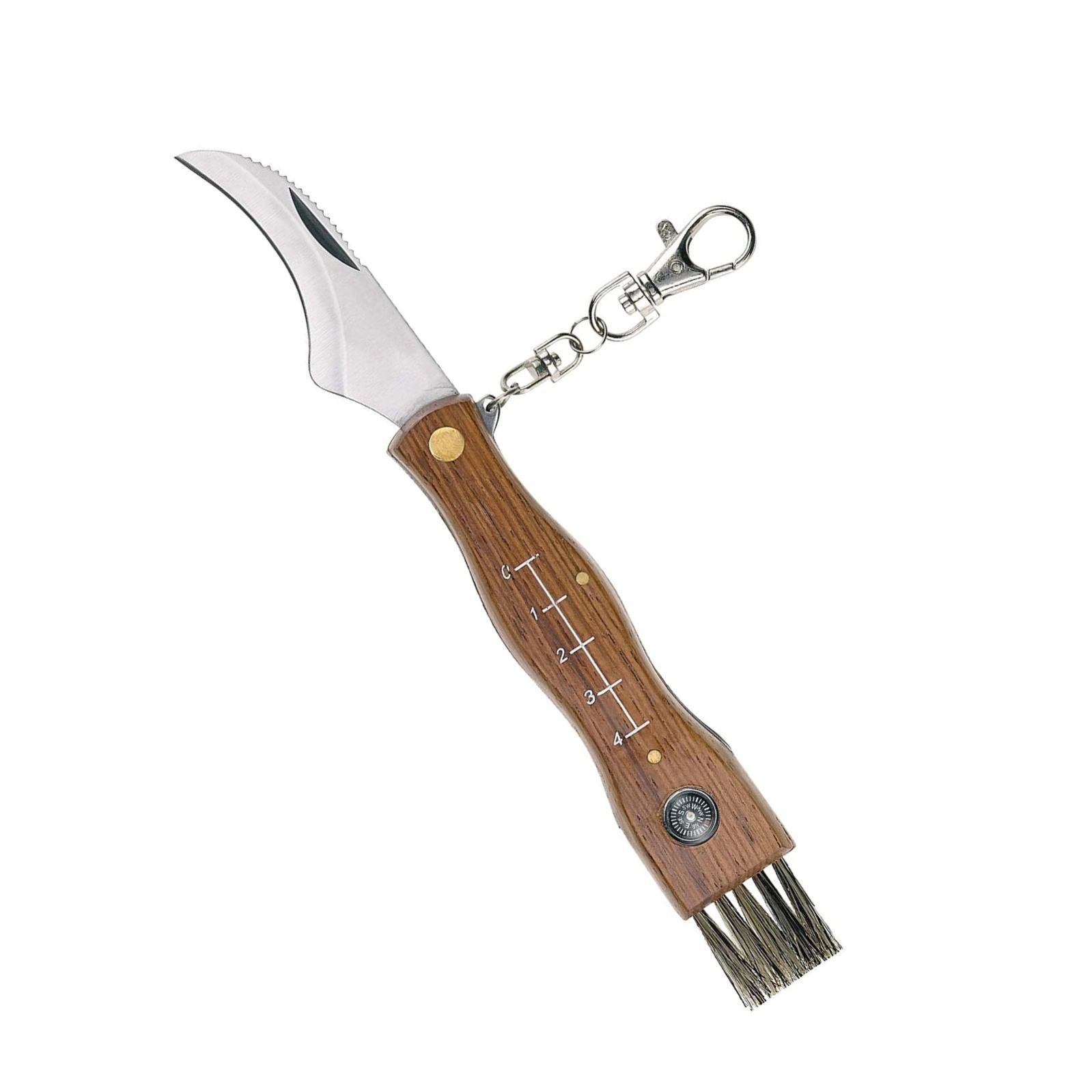 Coltello coglifunghi professionale con lama in acciaio inox per uso ...