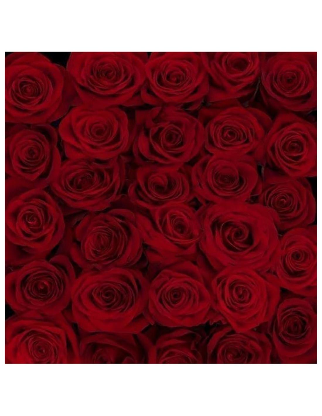 Rosas Variadas | Flor Natural | Ramo de 25 tallos | 60cm de alto ...