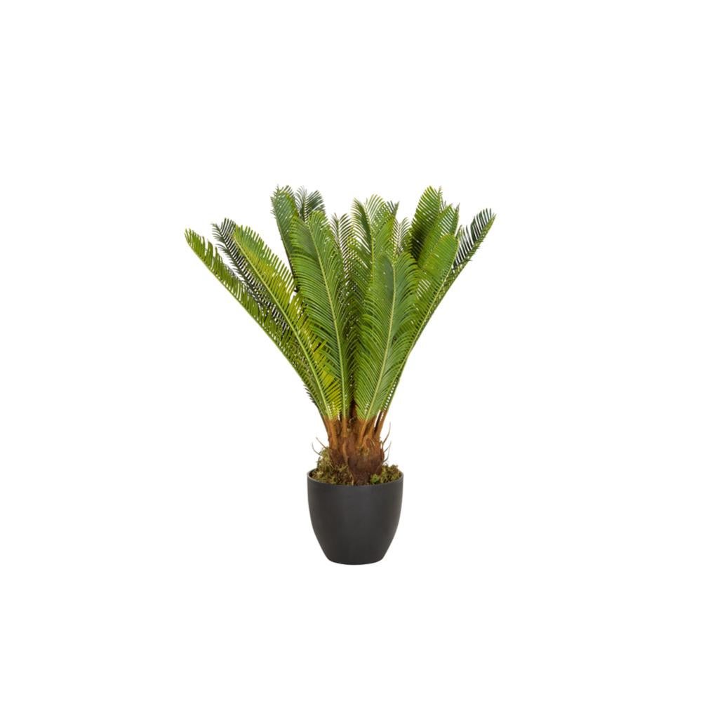 Pianta artificiale CYCAS Plastica Verde hjh OFFICE | Leroy Merlin