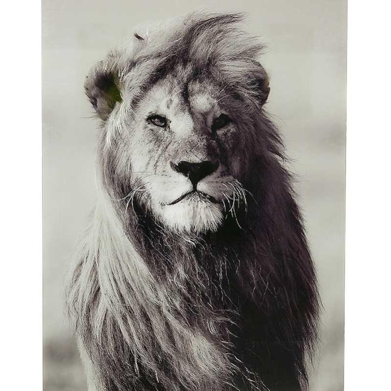 Cadre lion sépia 90x4x120cm | Leroy Merlin