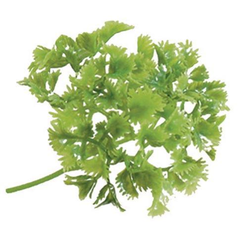 Botte de Persil - L2G | Leroy Merlin