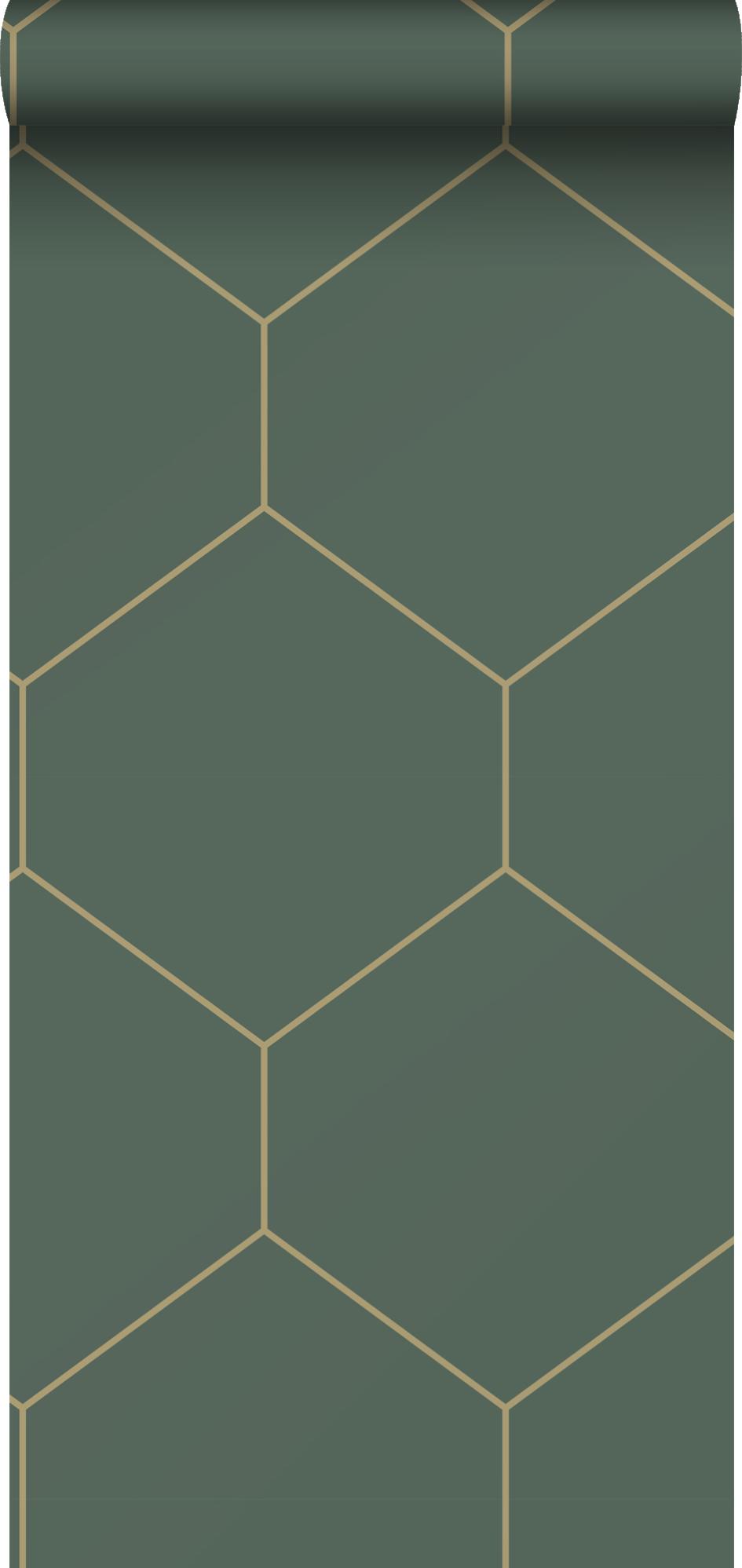 Carta da parati esagono verde scuro e oro - 50 x 900 cm - ESTAhome ...