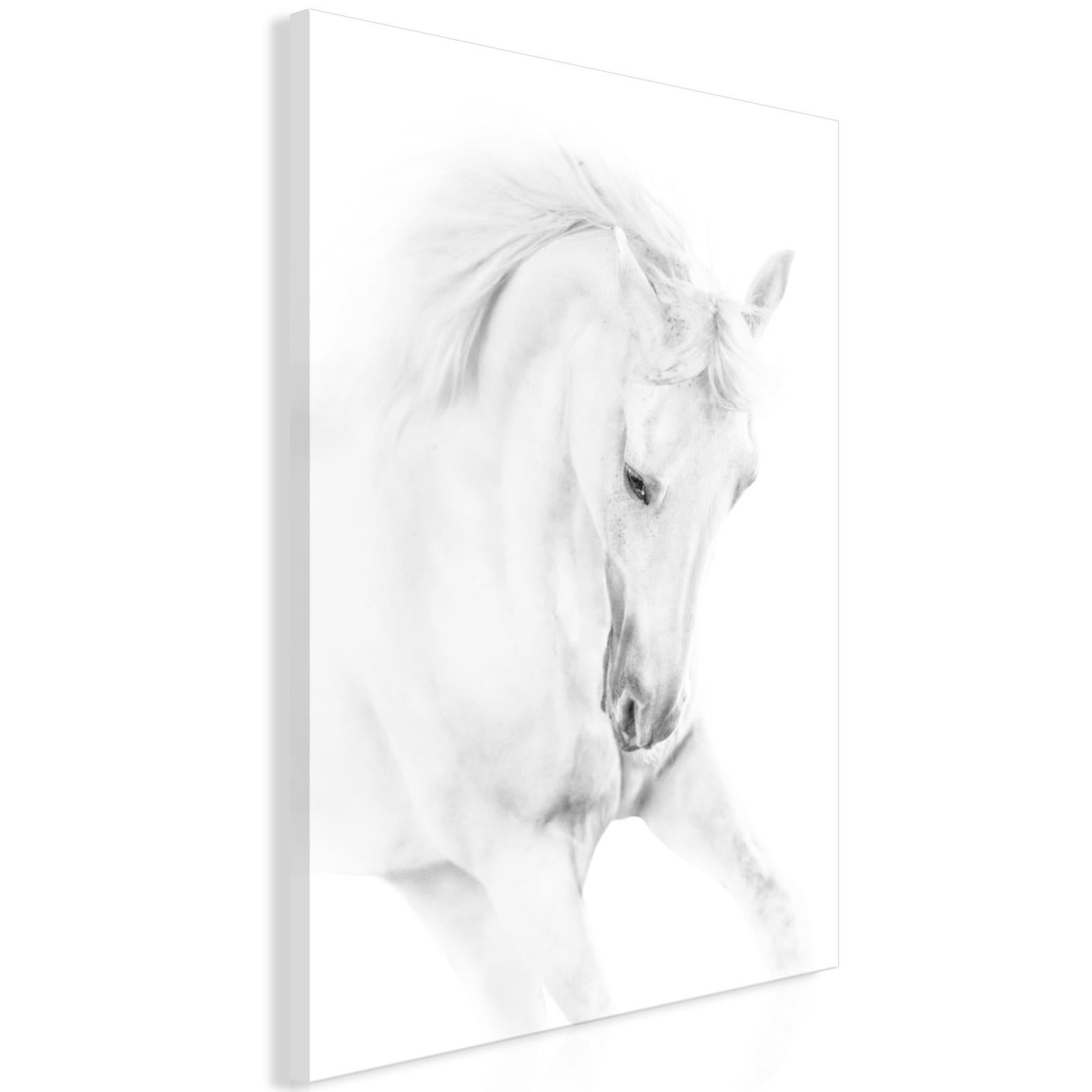 Tableau Cheval Blanc (1 Partie) Vertical - 80 x 120 cm | Leroy Merlin