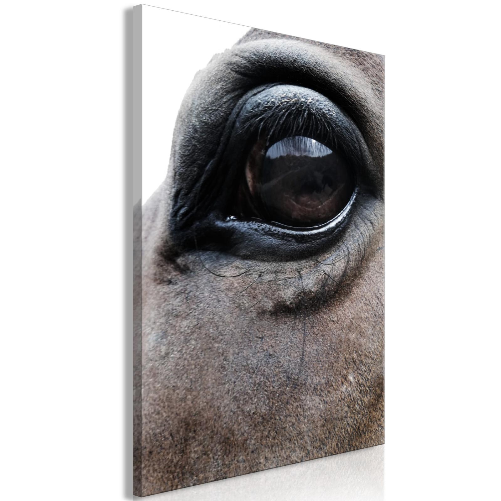 Tableau Honest Eyes Vertical - 40 x 60 cm | Leroy Merlin