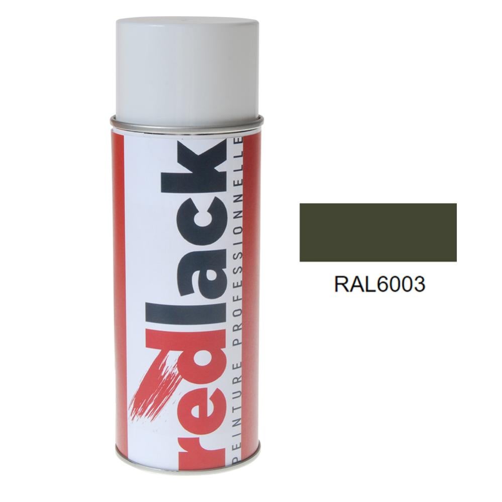 Redlack Peinture aérosol RAL 6003 Mat multisupport | Leroy Merlin