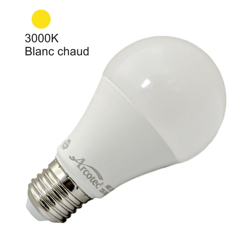 Ampoule LED standard E27 8,8W 806Lm 3000K - garantie 2 ans | Leroy Merlin