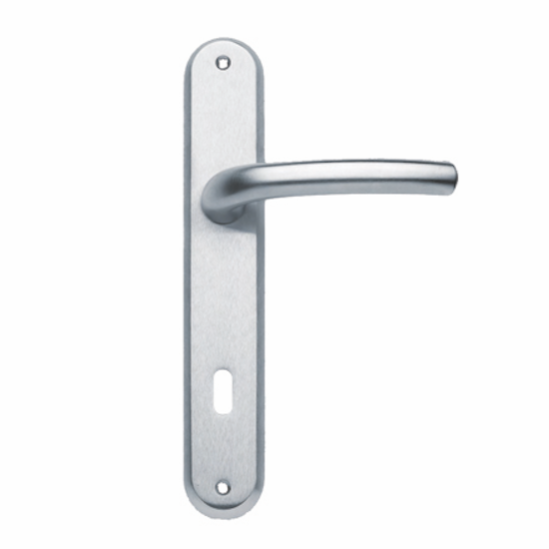 THEMA - MANIGLIA CON PLACCA SERIE DELTA CROMO FORO PATENT | Leroy Merlin
