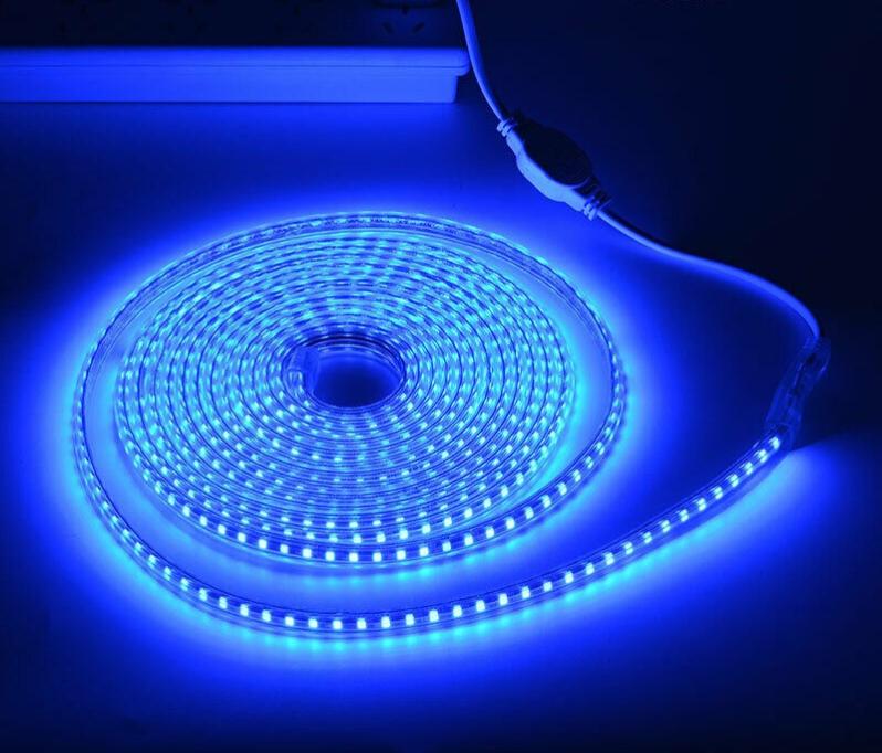 Striscia Led 220V 2835 120led/m - Blu, 50 Metri | Leroy Merlin