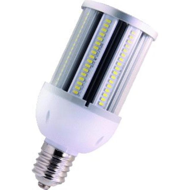 Bailey Led ampoule l19.8cm diamètre : 9.3cm blanc | Leroy Merlin